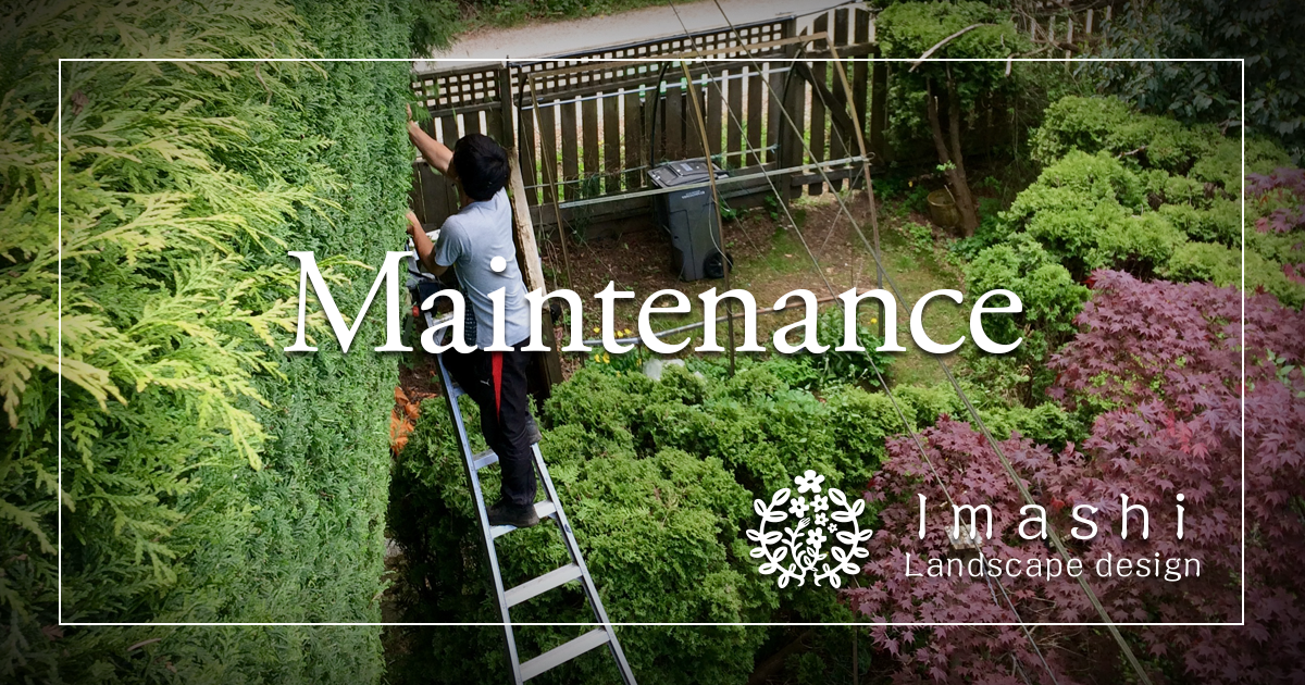 Maintenance | Imashi Garden Inc.